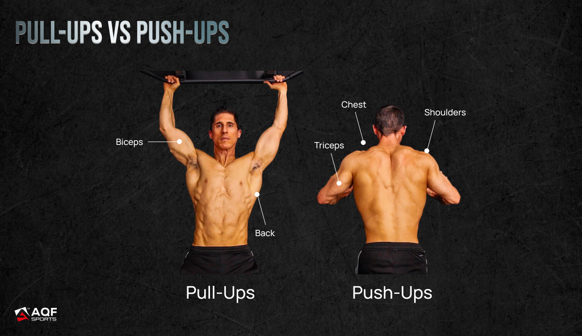 Do Pull Ups Work Triceps? [Sports Science Reveals the Answer] – AQF Sports