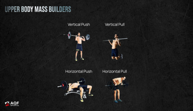 12 Pulling Exercises for Whole Body Strength Training – AQF Sports